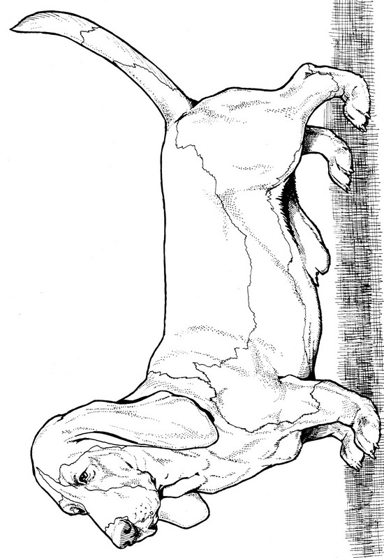 CreativeTherapyTools | Creativity Tools for Groups and Individuals