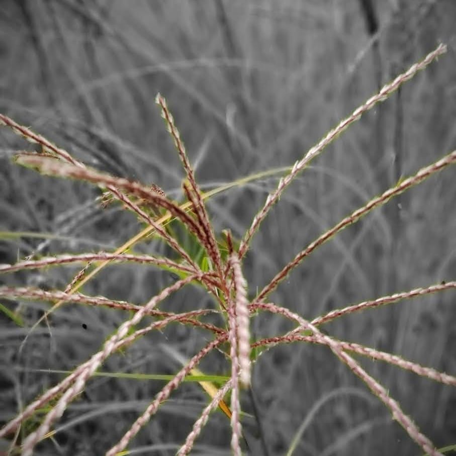 one more | CreativeTherapyTools