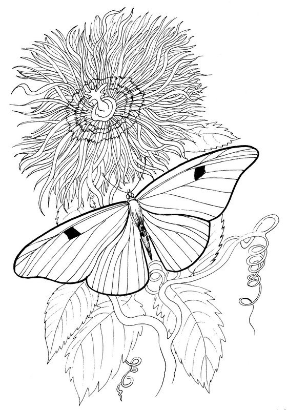 Julia Butterfly Coloring Page | CreativeTherapyTools