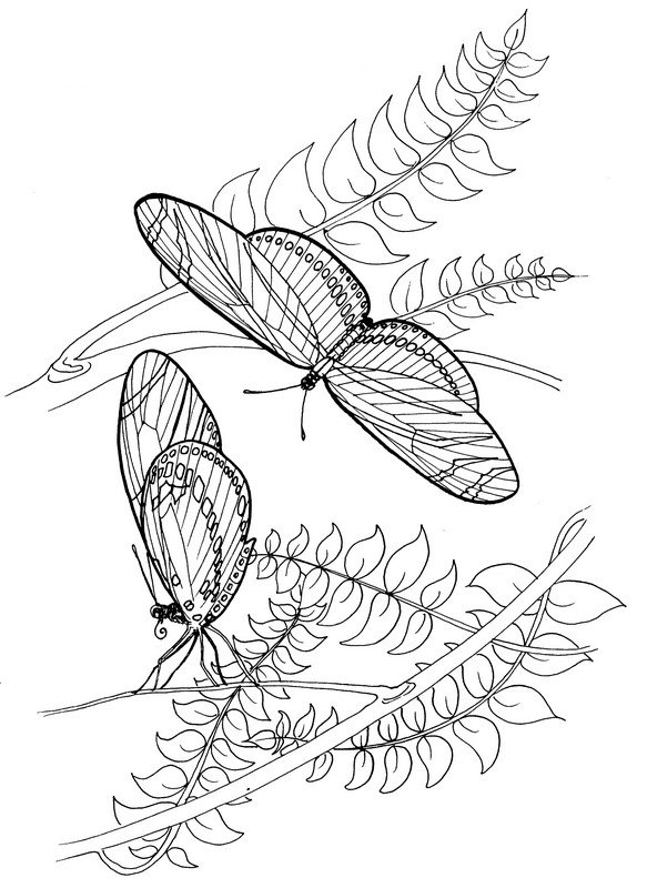 Zebra Longwing Butterfly Coloring Page | CreativeTherapyTools