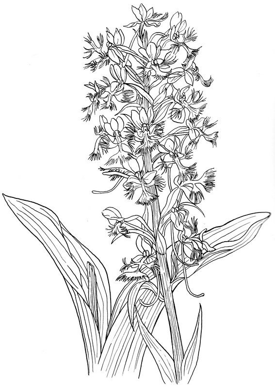 CreativeTherapyTools | Creativity Tools for Groups and Individuals